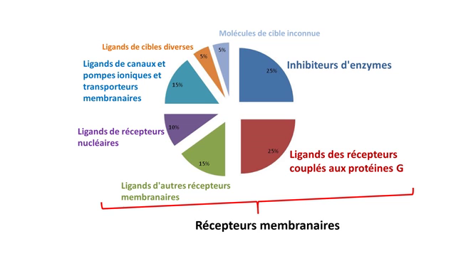 Médiathèque Pédagogique - Vue D'Ensemble Des Cibles Des Medicaments